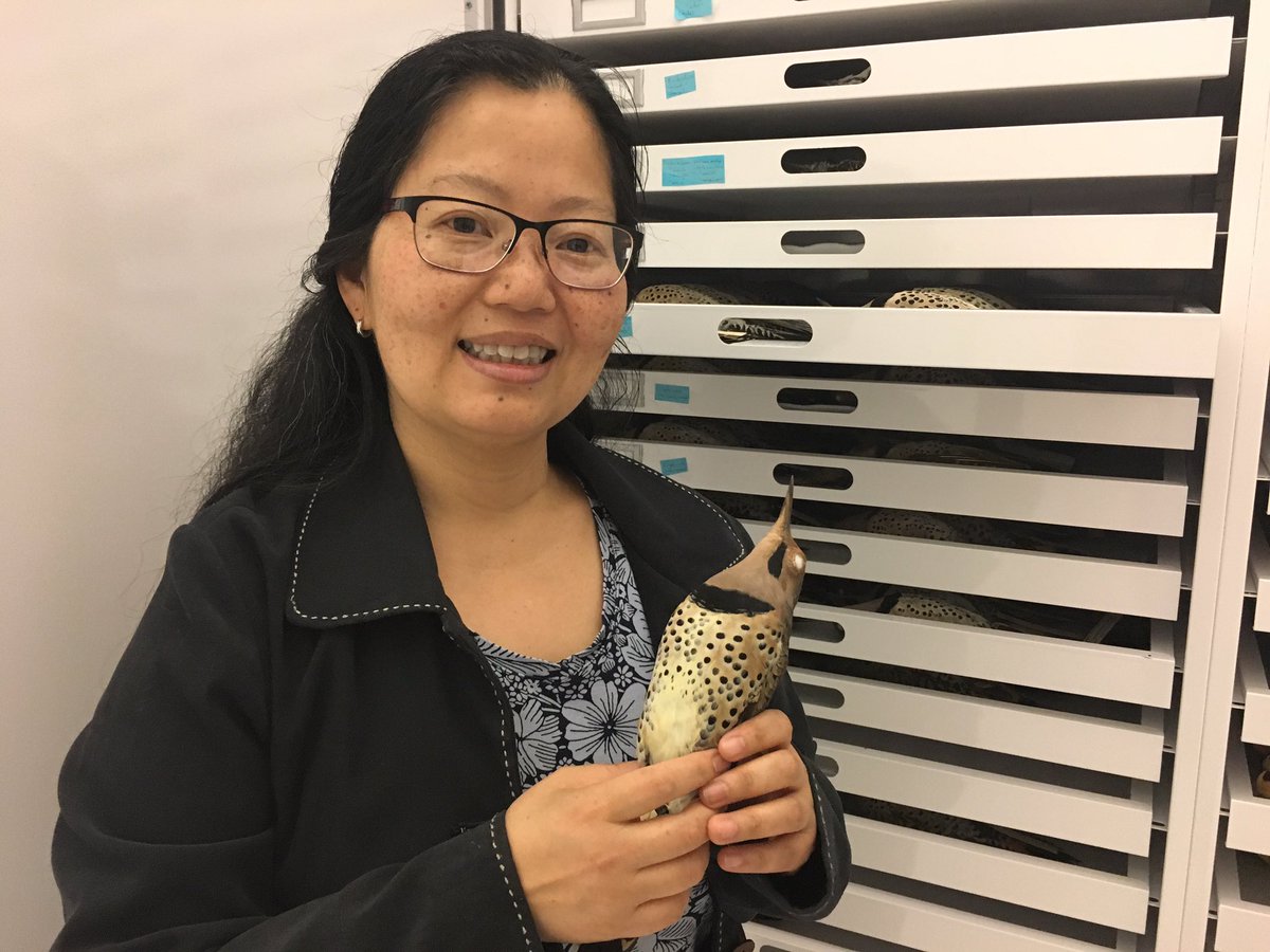 Getting Started with Yes Science! – Dennis Spielman