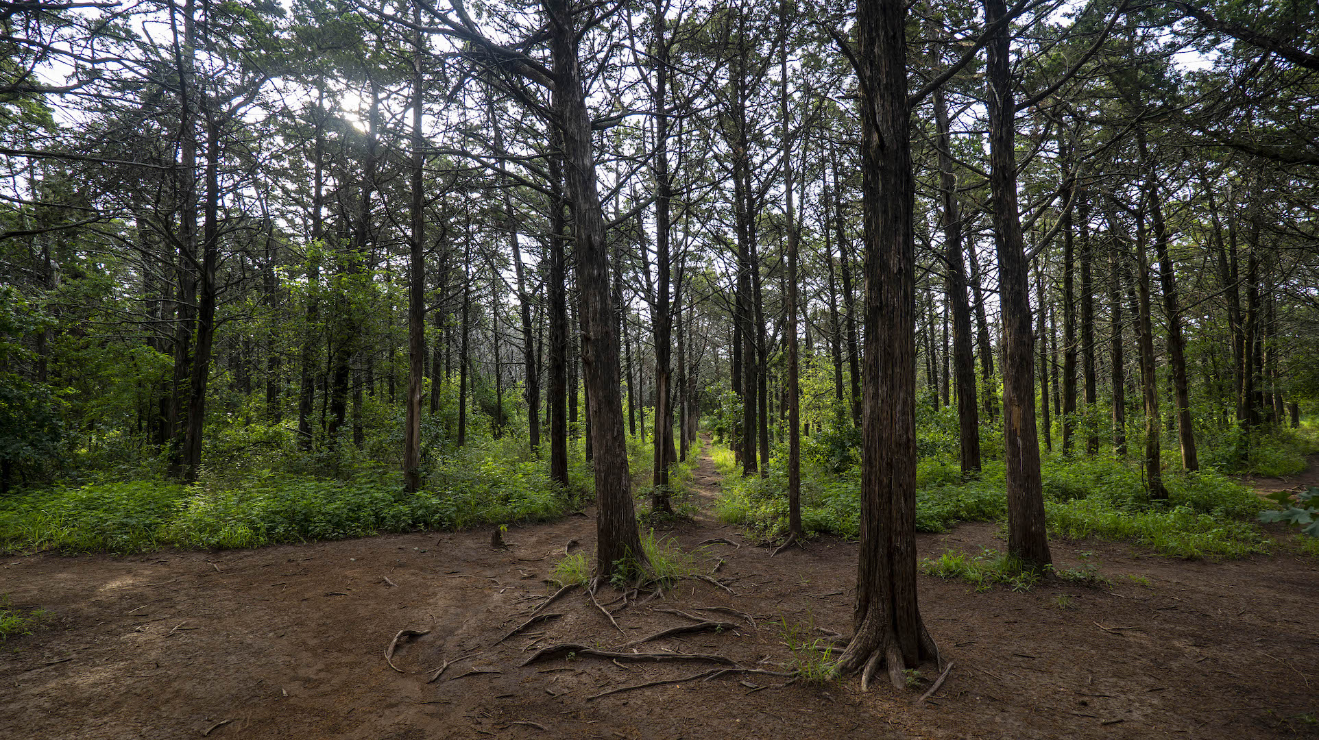 Landscape photos of the Wichita Mountains July 18, 2021 – Dennis Spielman